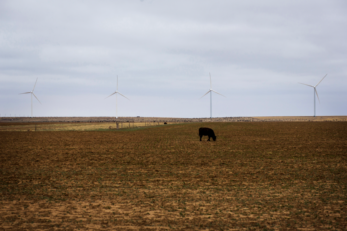 Introducing the 2024 EDFR Behind-the-Meter RFP – “Project Arete” - EDF ...