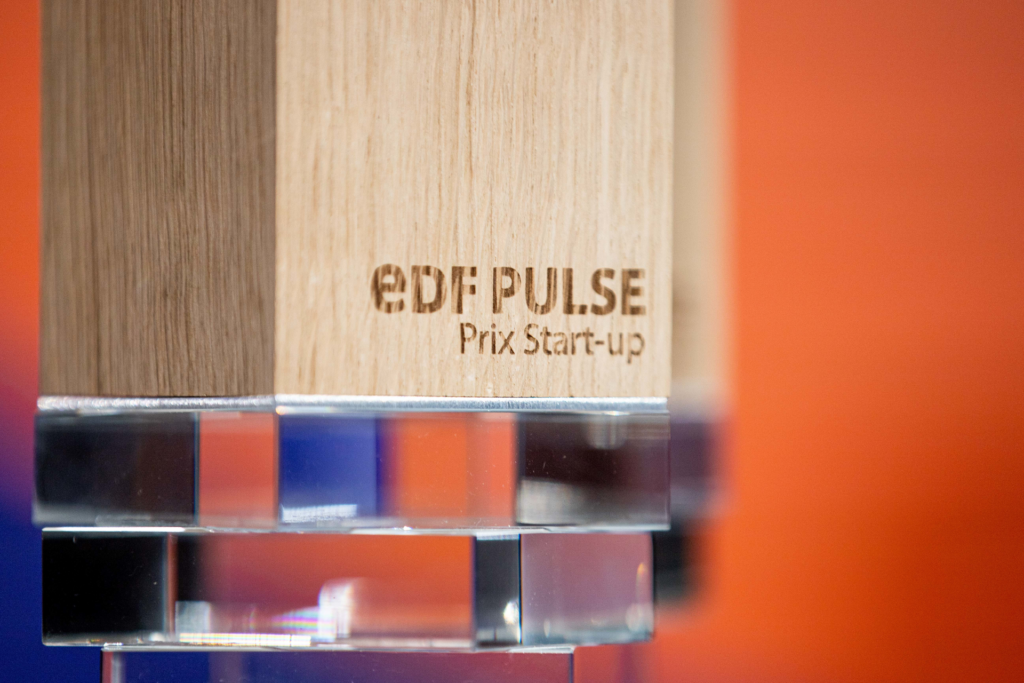Corporate Innovation within EDF Group: EDF Pulse Programs - EDF ...