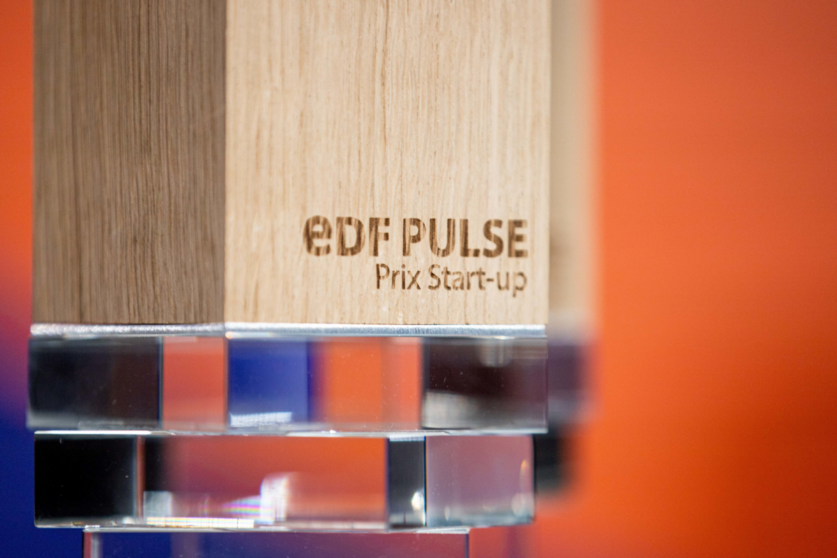 Corporate Innovation within EDF Group: EDF Pulse Programs - EDF ...