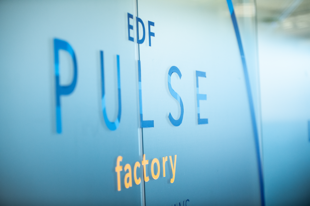 Corporate Innovation within EDF Group: EDF Pulse Programs - EDF ...
